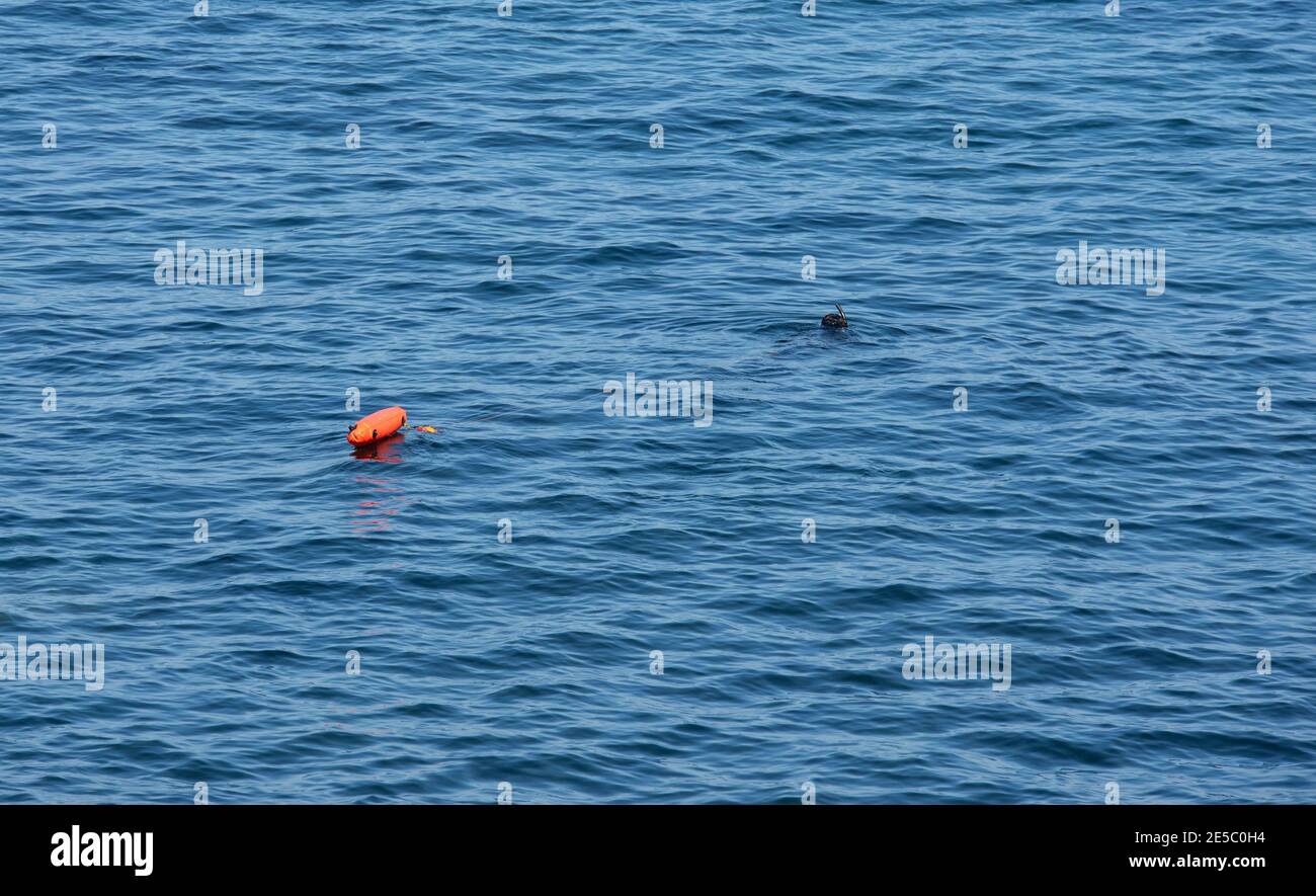 Spearfishing shallow water hi-res stock photography and images - Alamy
