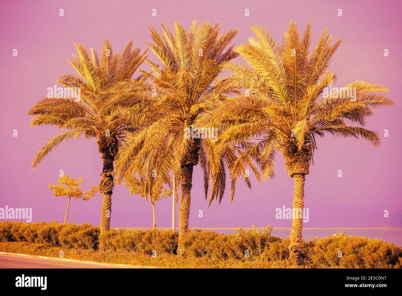 Pink filter hi-res stock photography and images - Alamy