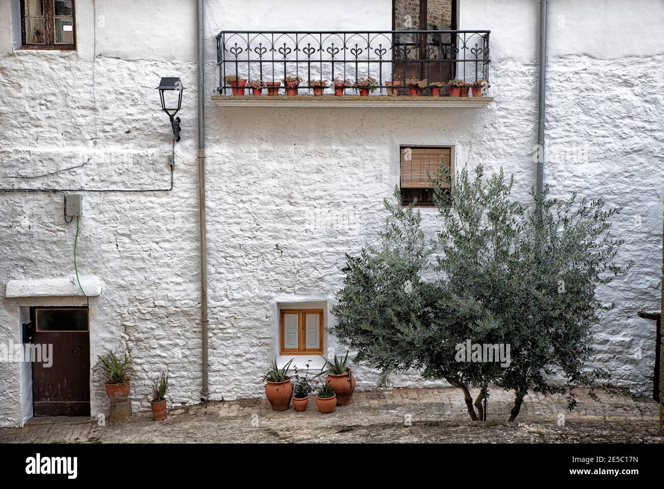 Olive tree on balcony hi-res stock photography and images - Alamy