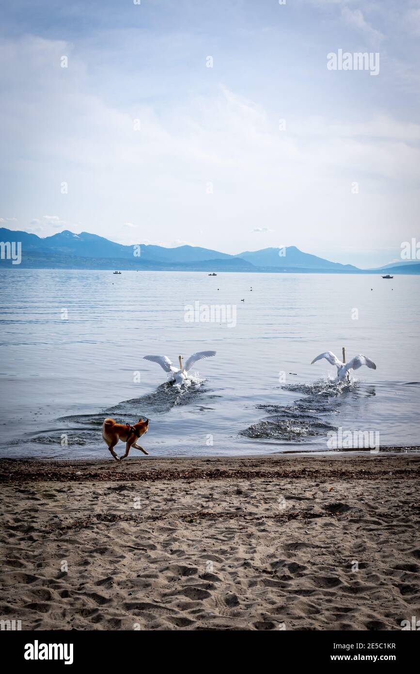 Two People Running Away Scared