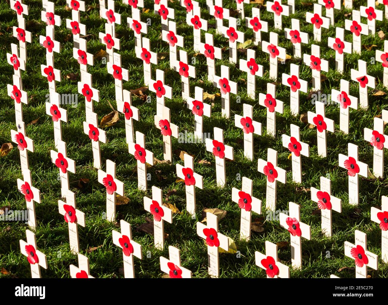 Poppies on wooden crosses. Poppy appeal Remembrance Day UK Stock Photo ...
