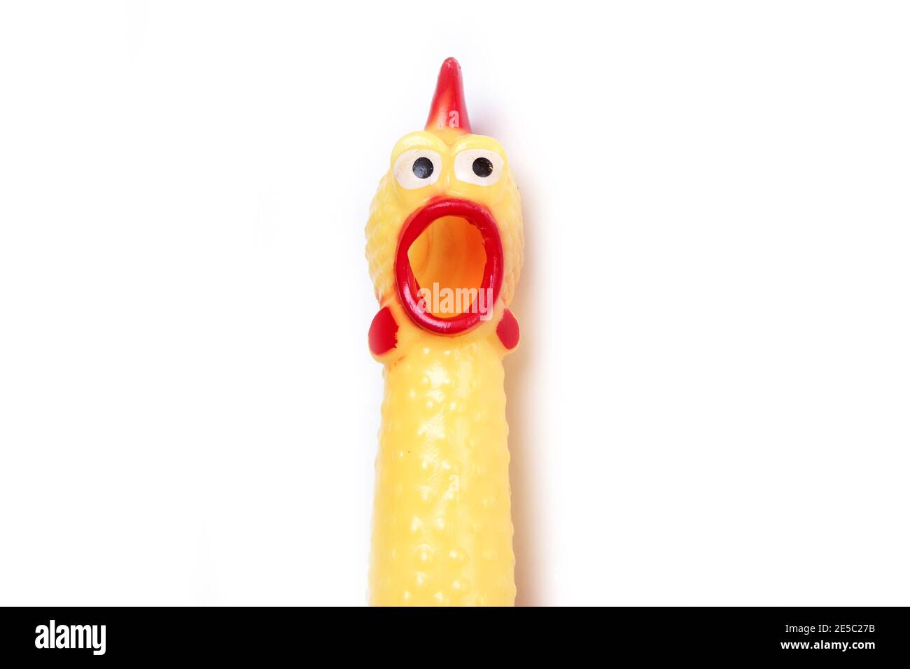 The detail of the head of the rubber chicken toy. Looking like it ...