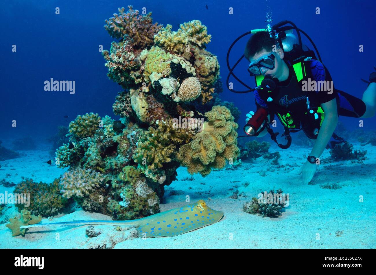 Coraya Beach, Rotes Meer, Ägypten, Red Sea, Egypt Stock Photo - Alamy
