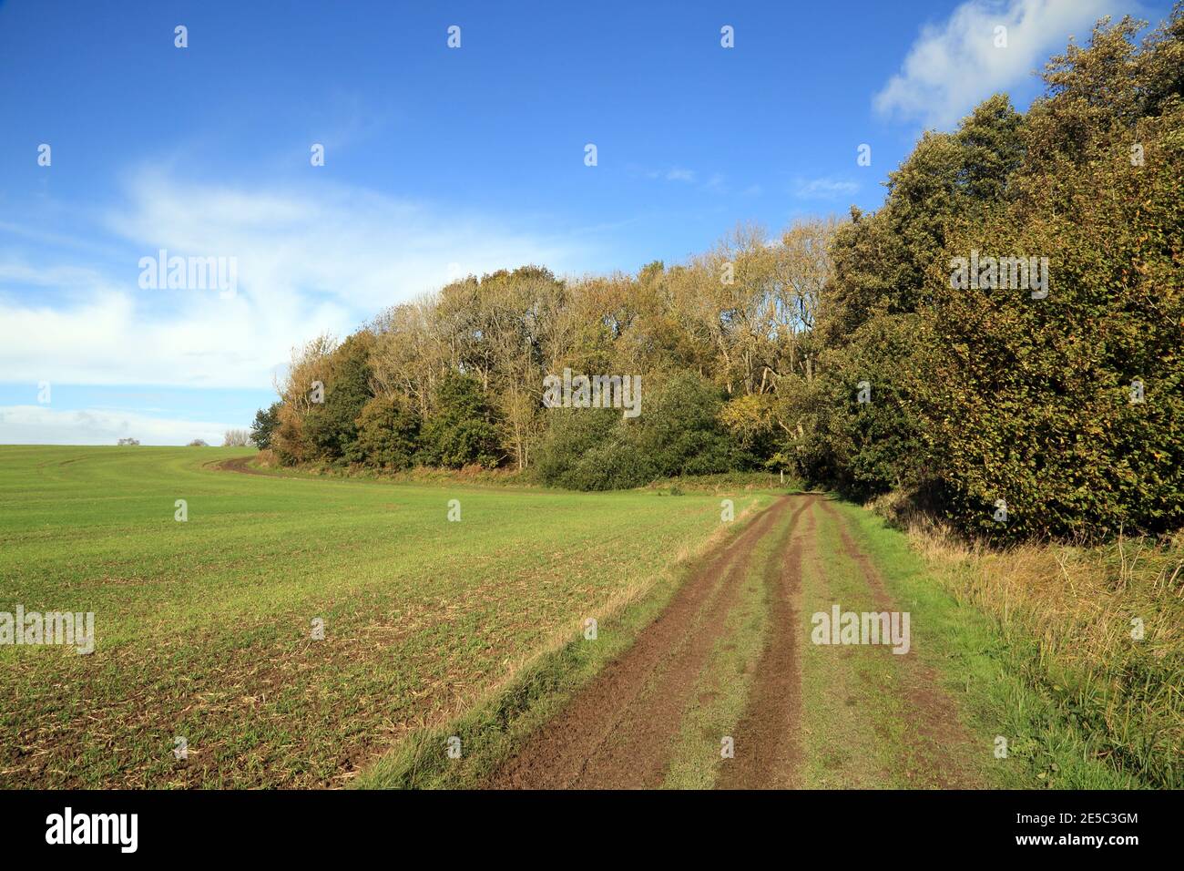 Evegate hi-res stock photography and images - Alamy