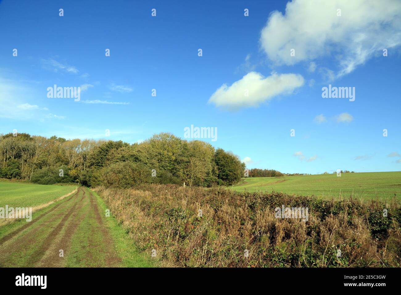 Evegate hi-res stock photography and images - Alamy