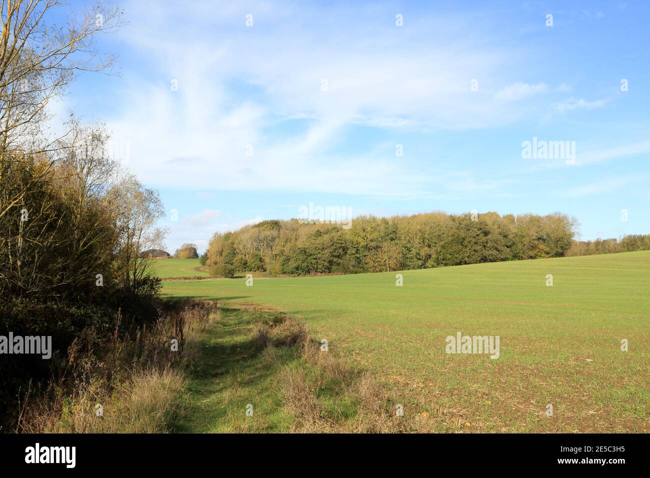 Field, footpath and woodland at Park Wood, Evegate, Smeeth, Ashford ...