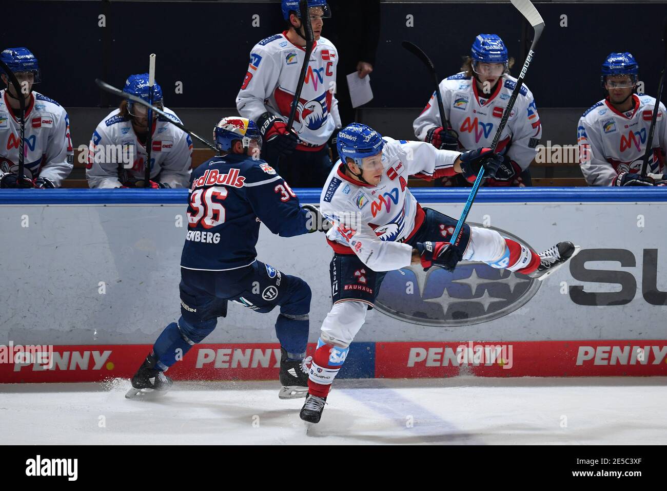 Bull rink hi-res stock photography and images - Alamy