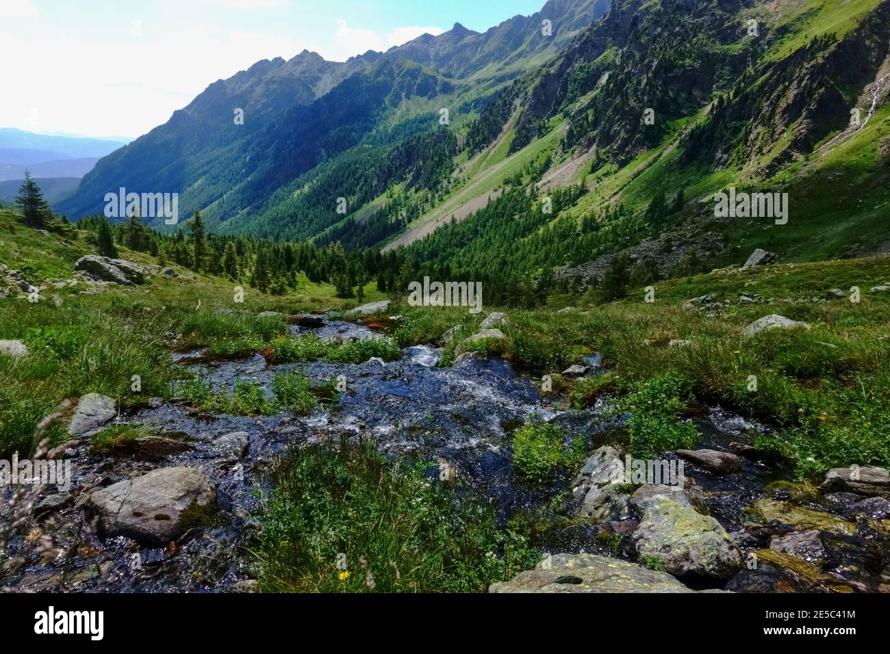 cold clear water from a brook on a mountain through a green meadow with ...