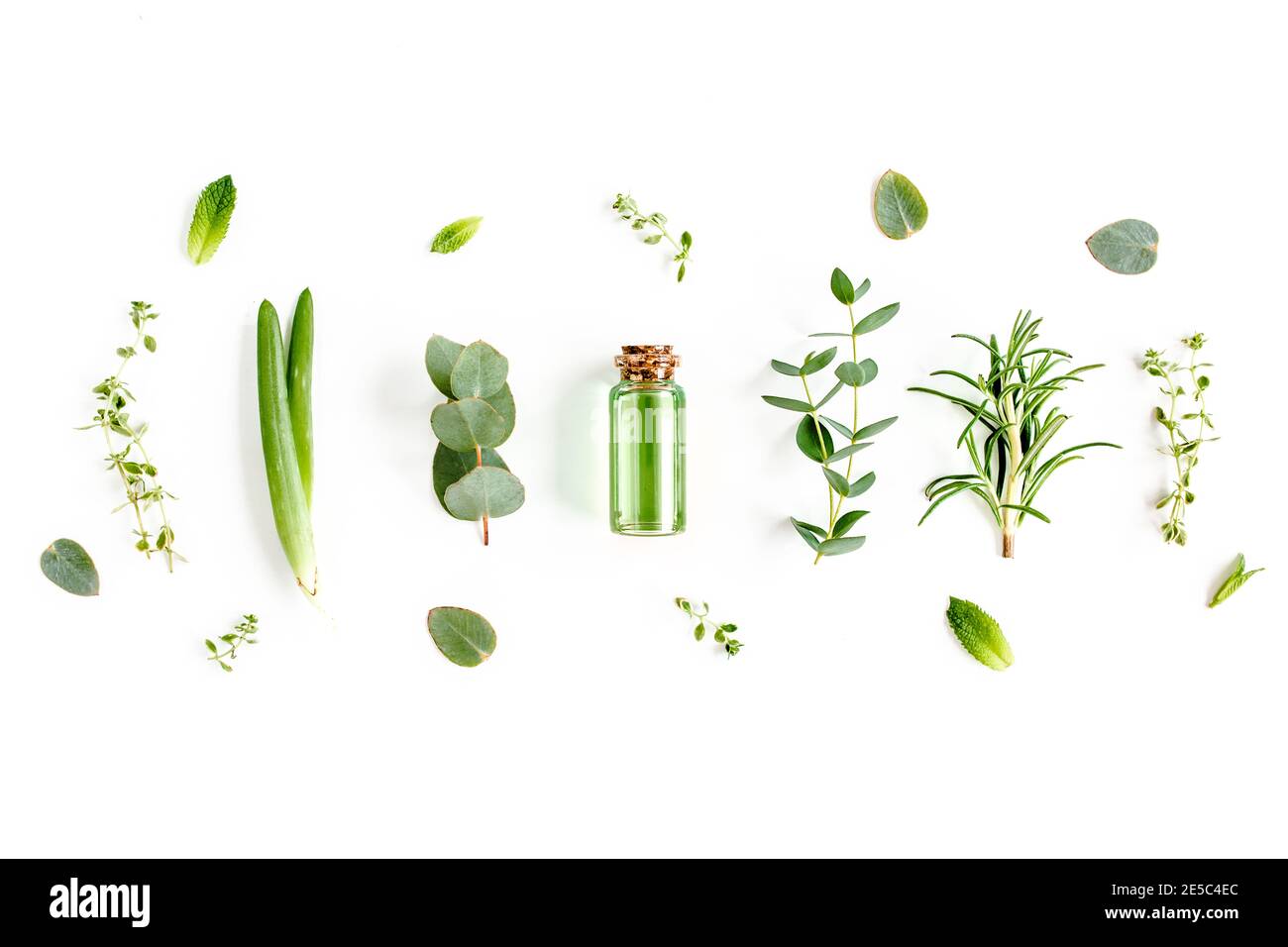 Essential oil and mix of herbs, green branches, leaves eucalyptus, aloe ...