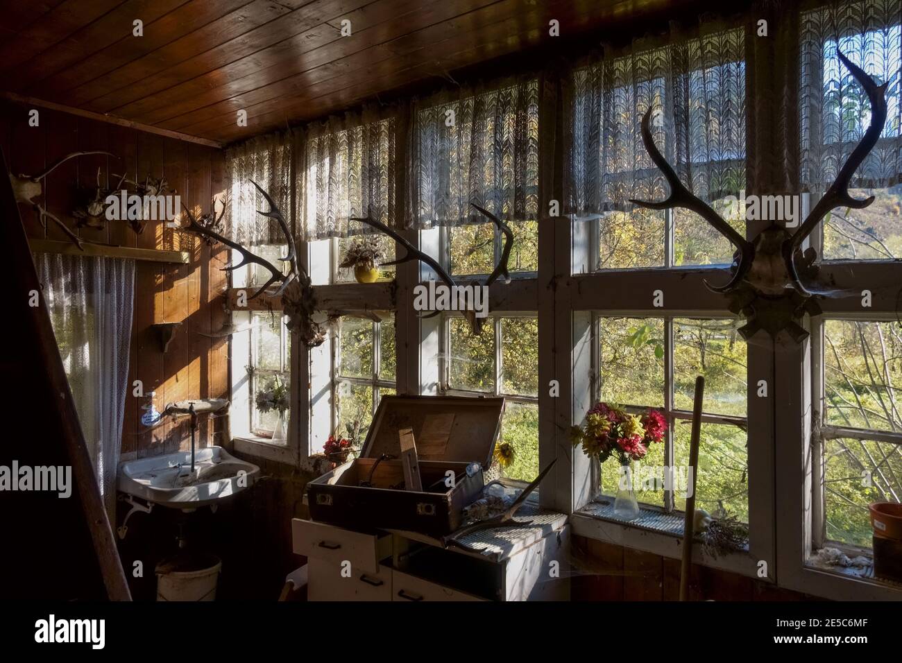 Trophies in a window hi-res stock photography and images - Alamy