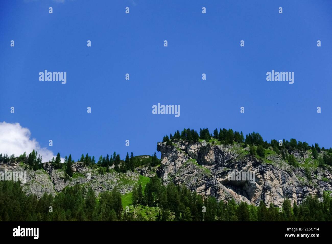rocky mountain with many trees and blue sky in austria Stock Photo - Alamy
