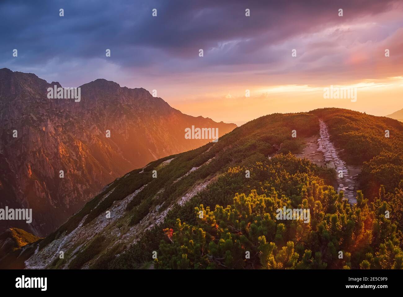 High beams hi-res stock photography and images - Alamy