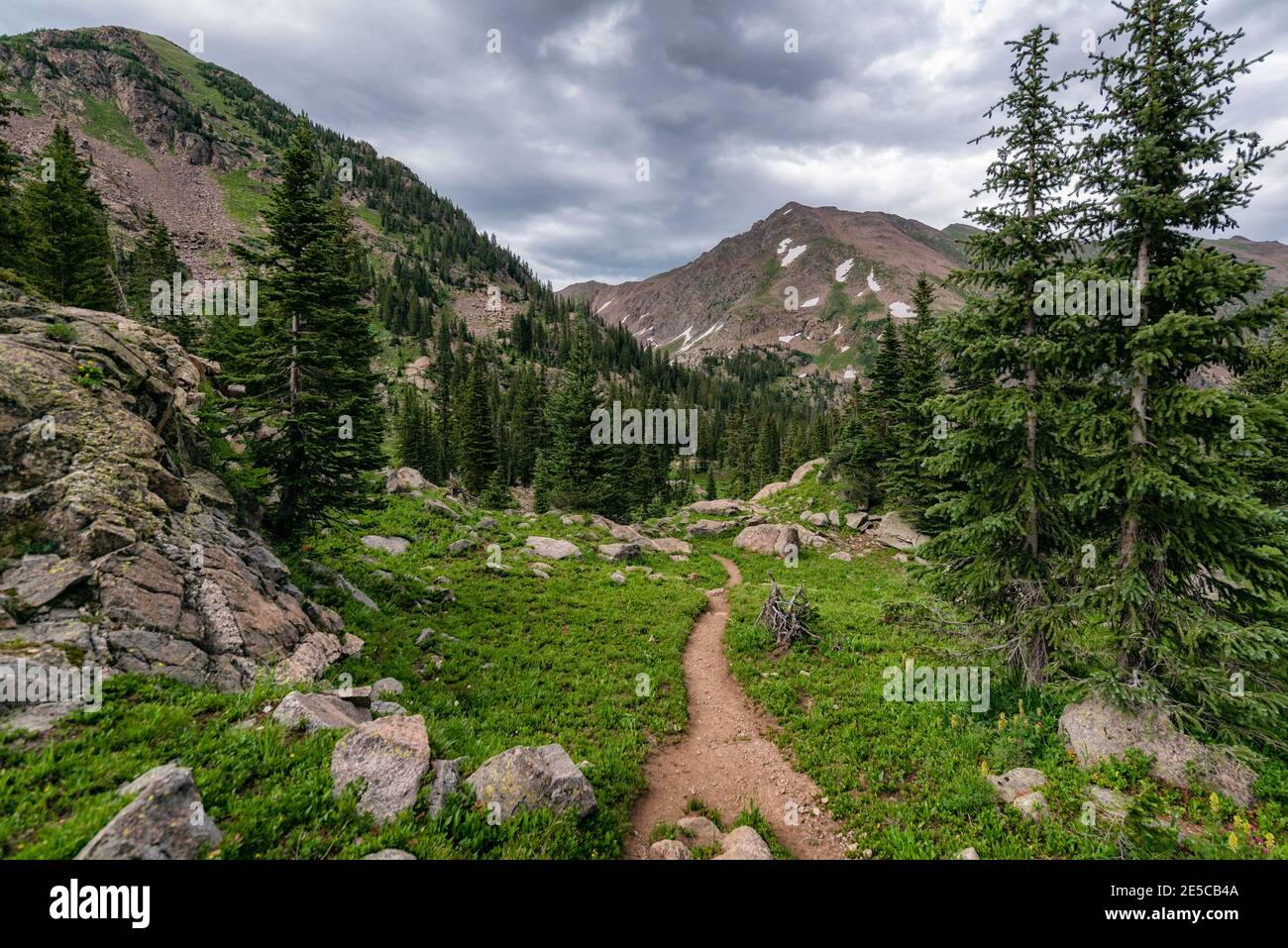 Conservation wilderness hi-res stock photography and images - Alamy