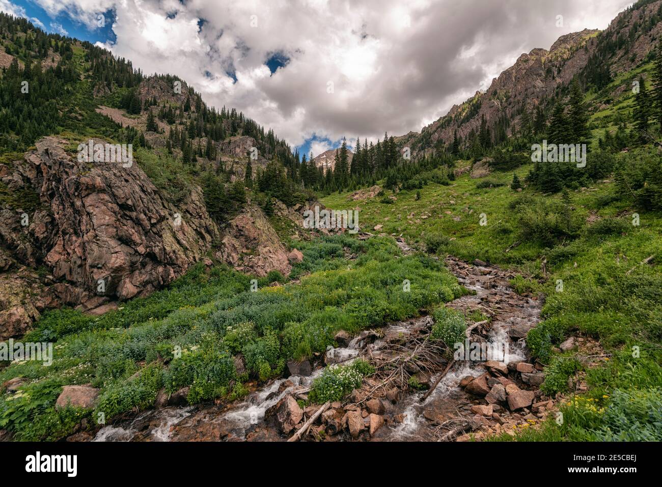 Wildflowers stream creek river summer hi-res stock photography and ...