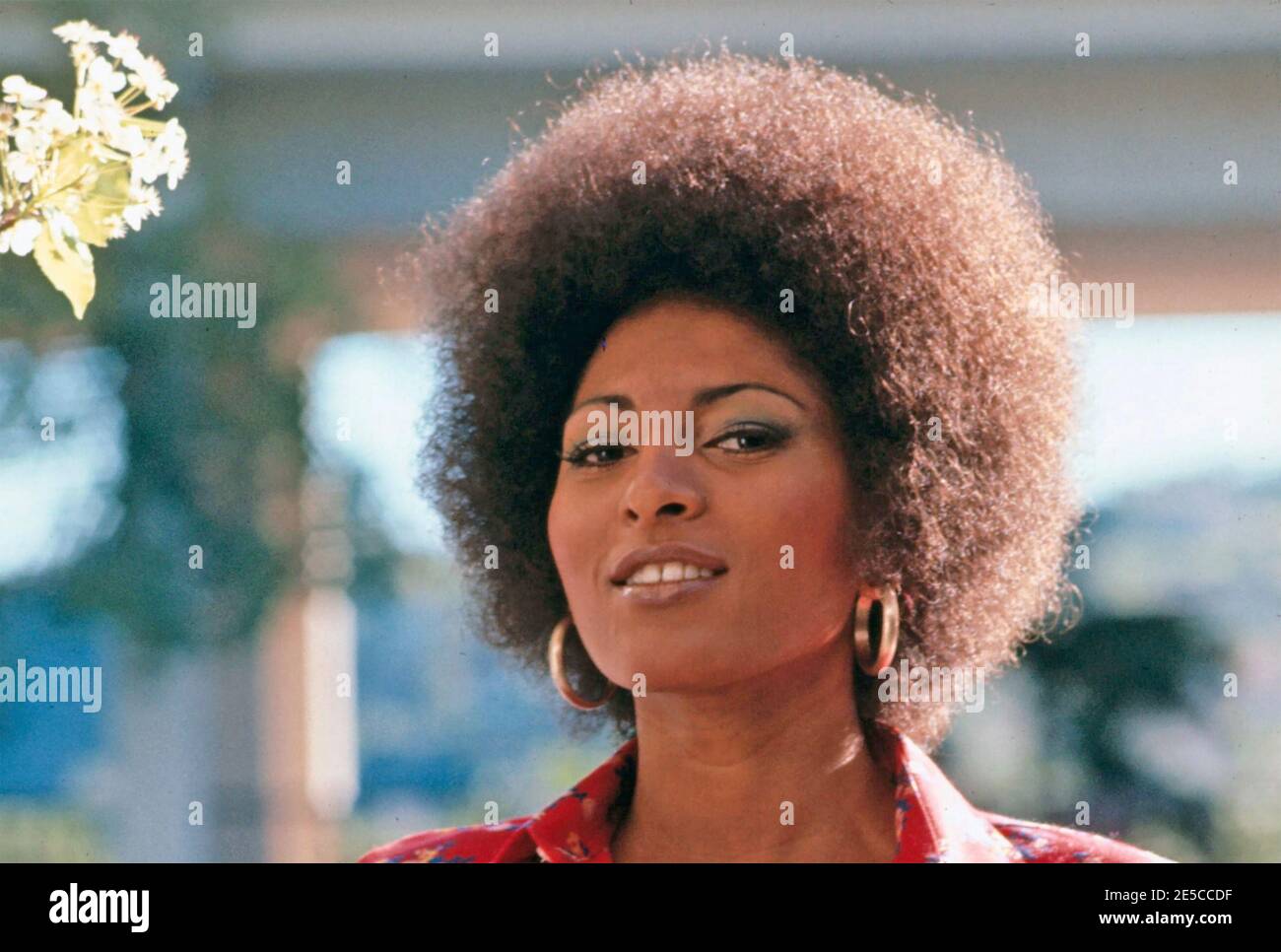Pam grier hi-res stock photography and images - Alamy