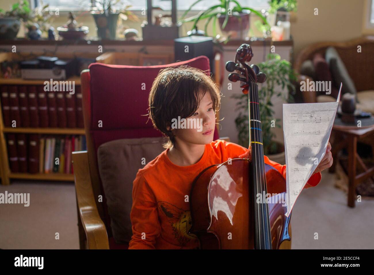 A boy sits in beautiful light with a cello reading sheet music Stock ...