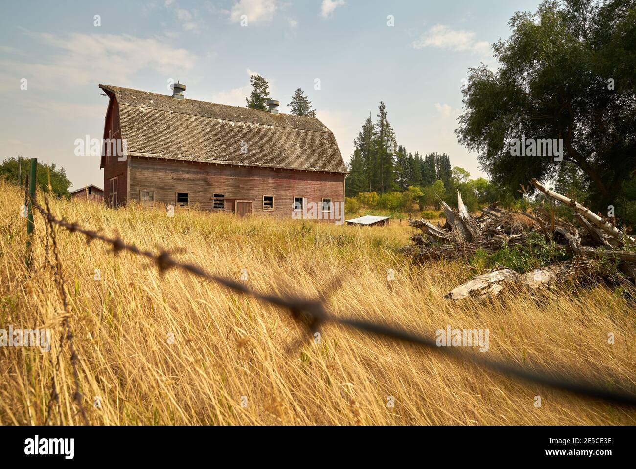 Rustic Barn and Grass. A faded, red barn in the Palouse. Washington ...