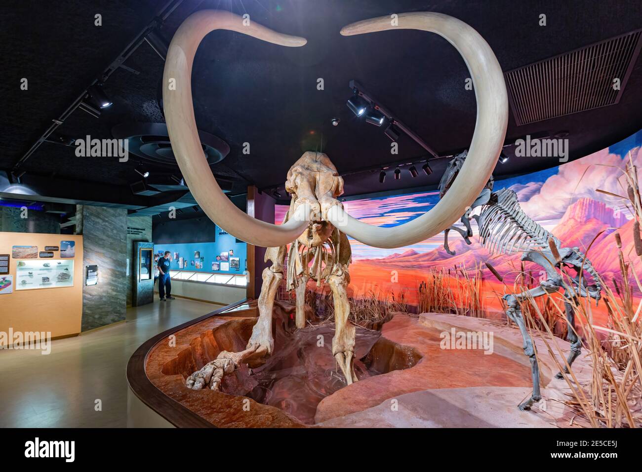 Interior view nevada state museum hi-res stock photography and images ...