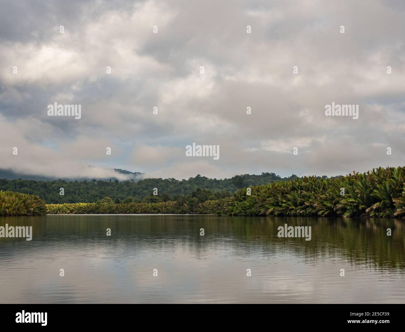 Arguni, Bird's Head Peninsula, West Papua, Indonesia, Asia Stock Photo ...