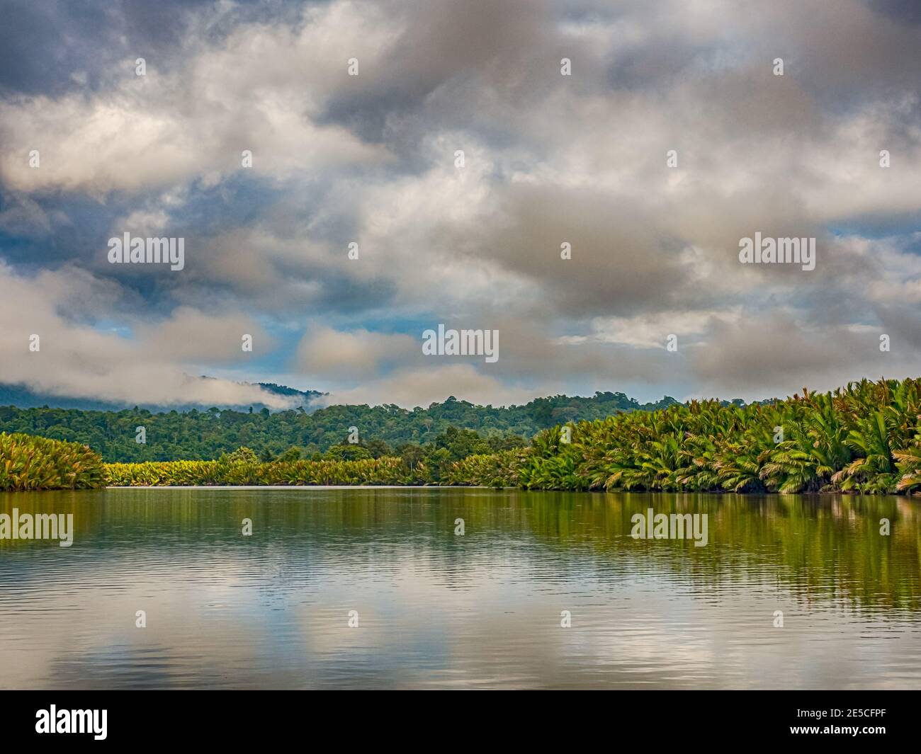 Arguni, Bird's Head Peninsula, West Papua, Indonesia, Asia Stock Photo ...