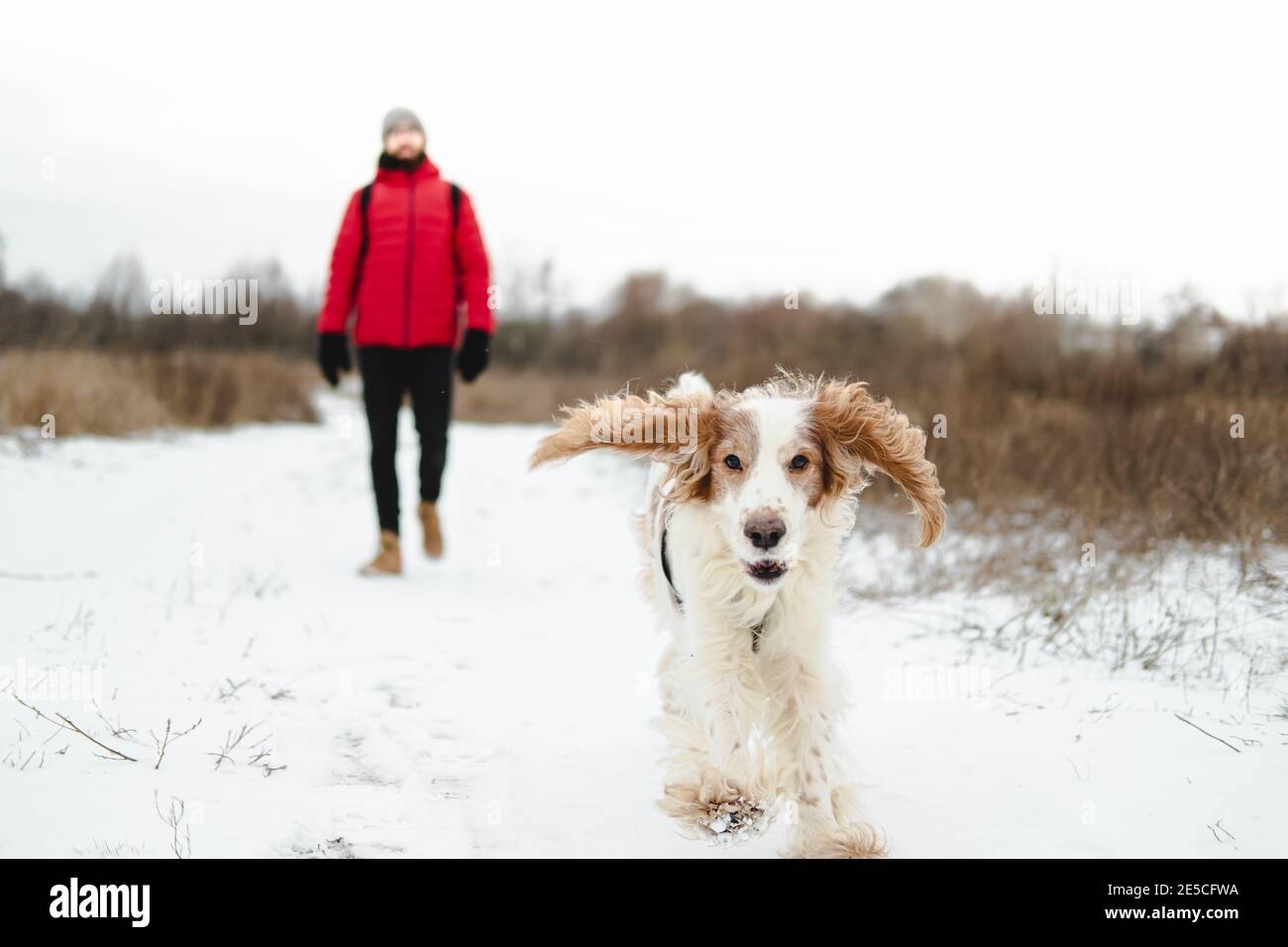 Lifestyle with pets hi-res stock photography and images - Alamy