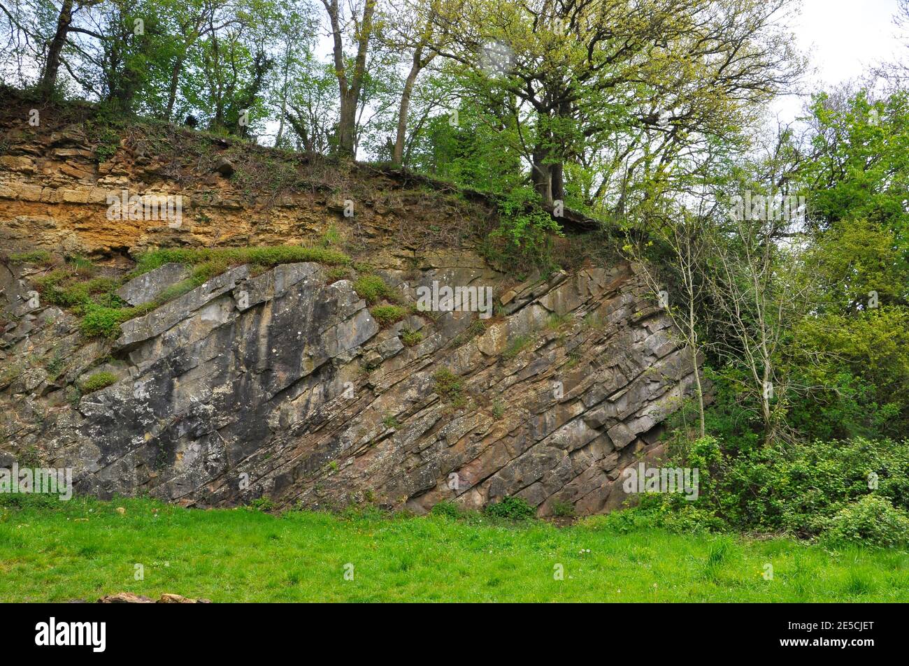 The De la Beche unconformity at Vallis Vale, Somerset, showing ...
