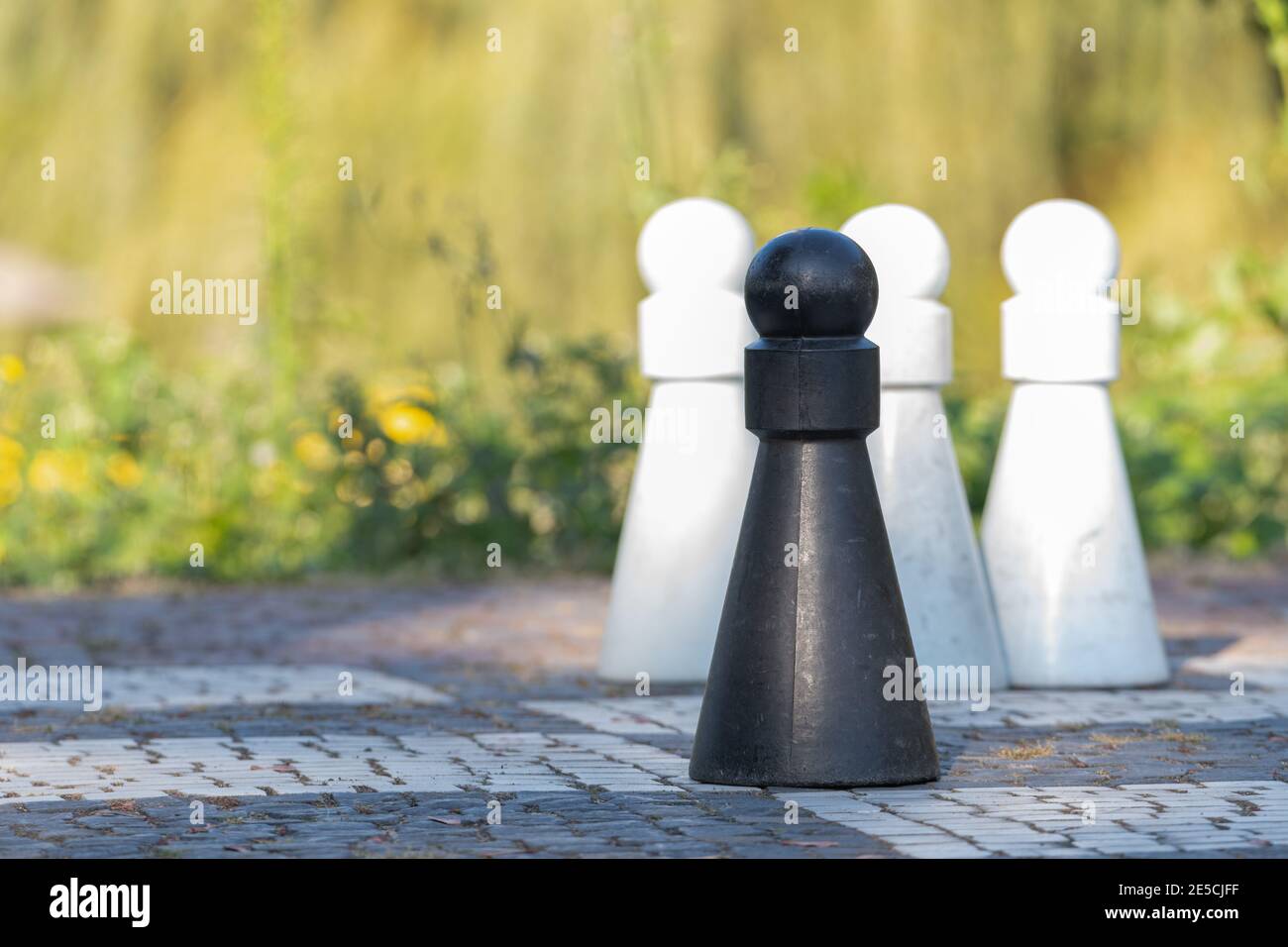 Four Life-Sized Pawns on a Chess Board, three white pawns and one black ...
