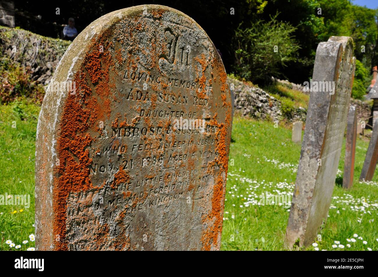 Lichen covered headstone of a 4 year out girl in the graveyard of ...