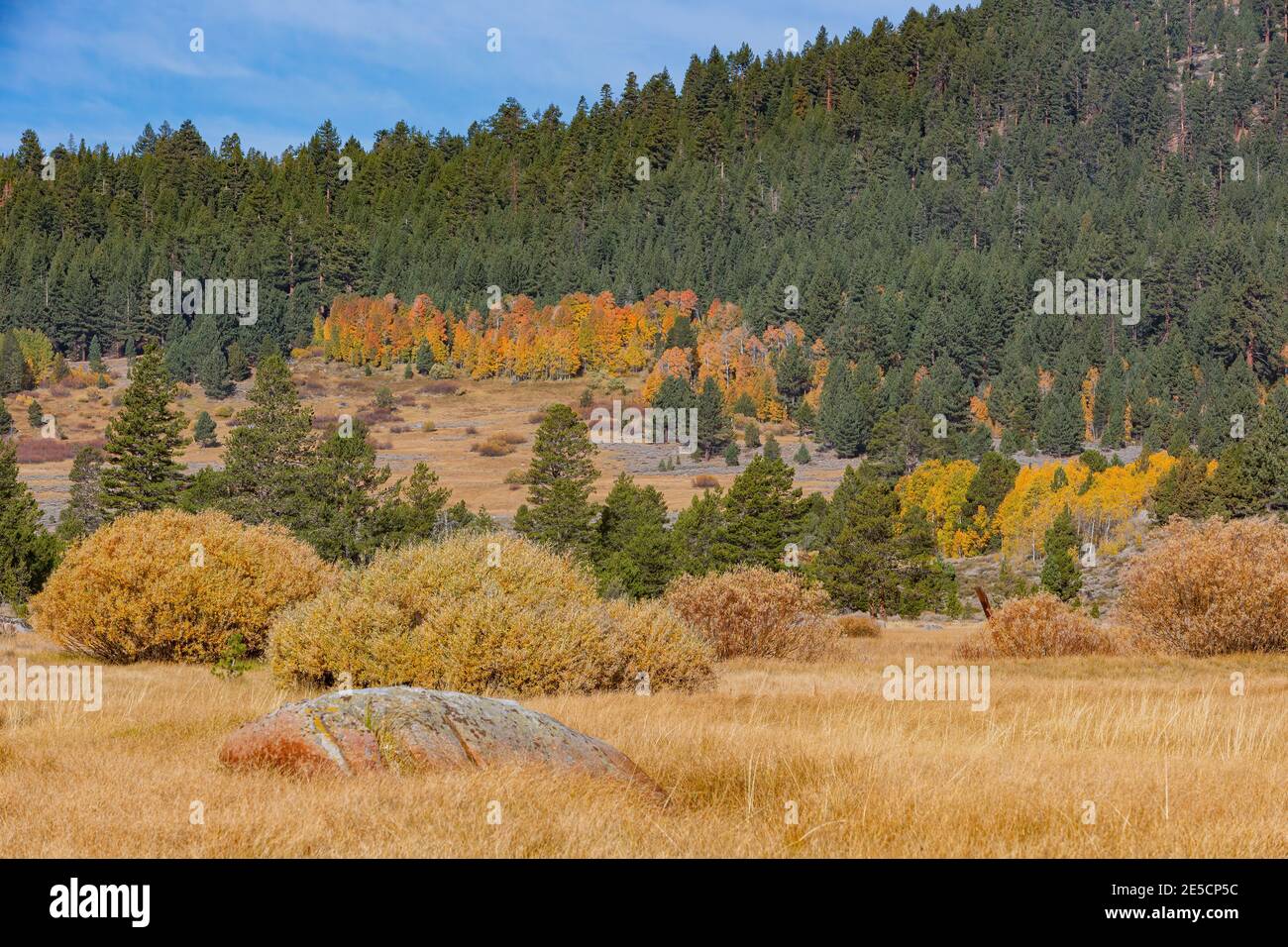 Sunny view with beautiful fall color along the Hope Valley in Lake ...
