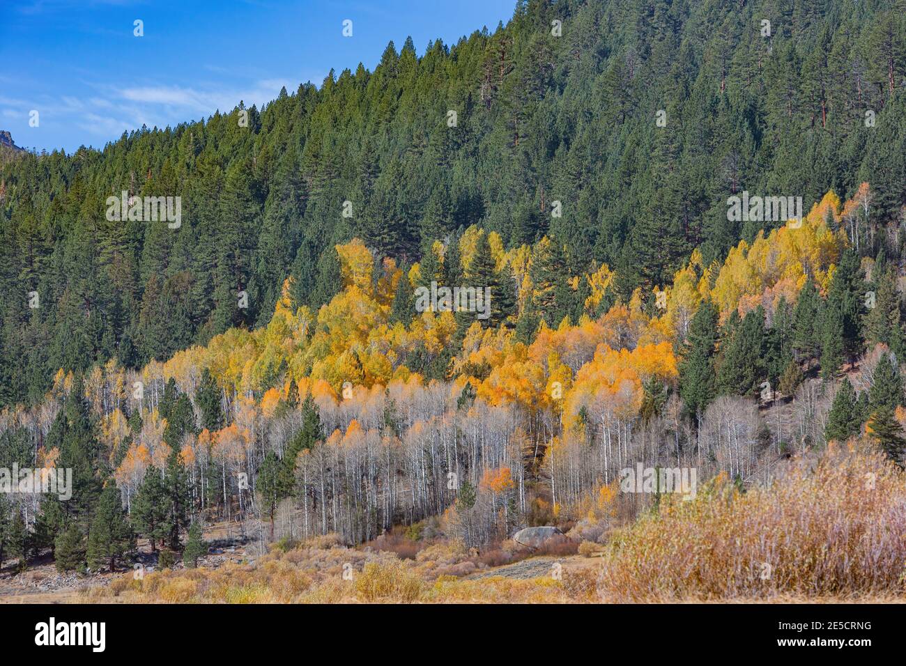 Sunny view with beautiful fall color along the Hope Valley in Lake ...