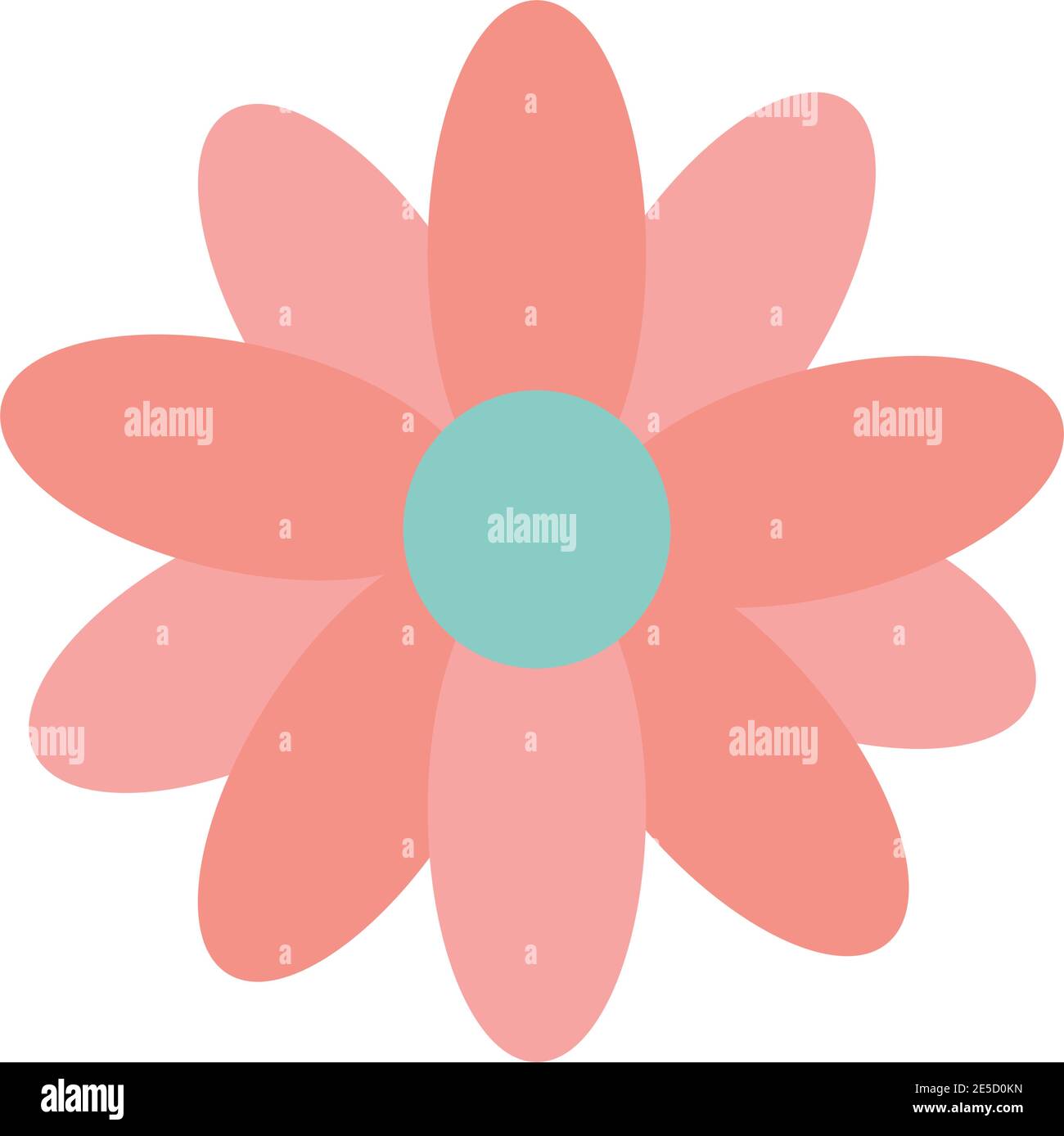 sunflower with a pink color Stock Vector Image & Art - Alamy