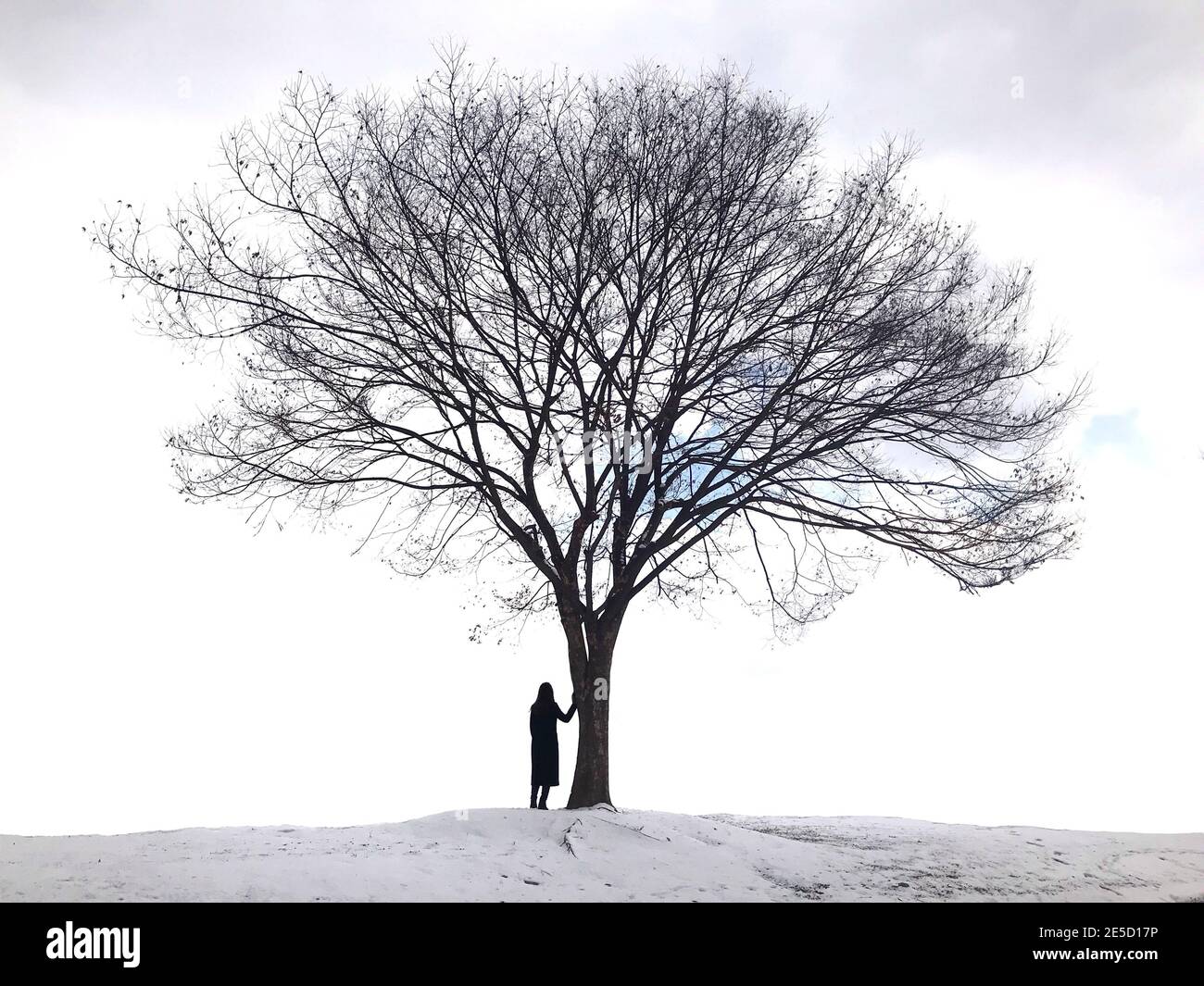 Lone standing tree hi-res stock photography and images - Alamy