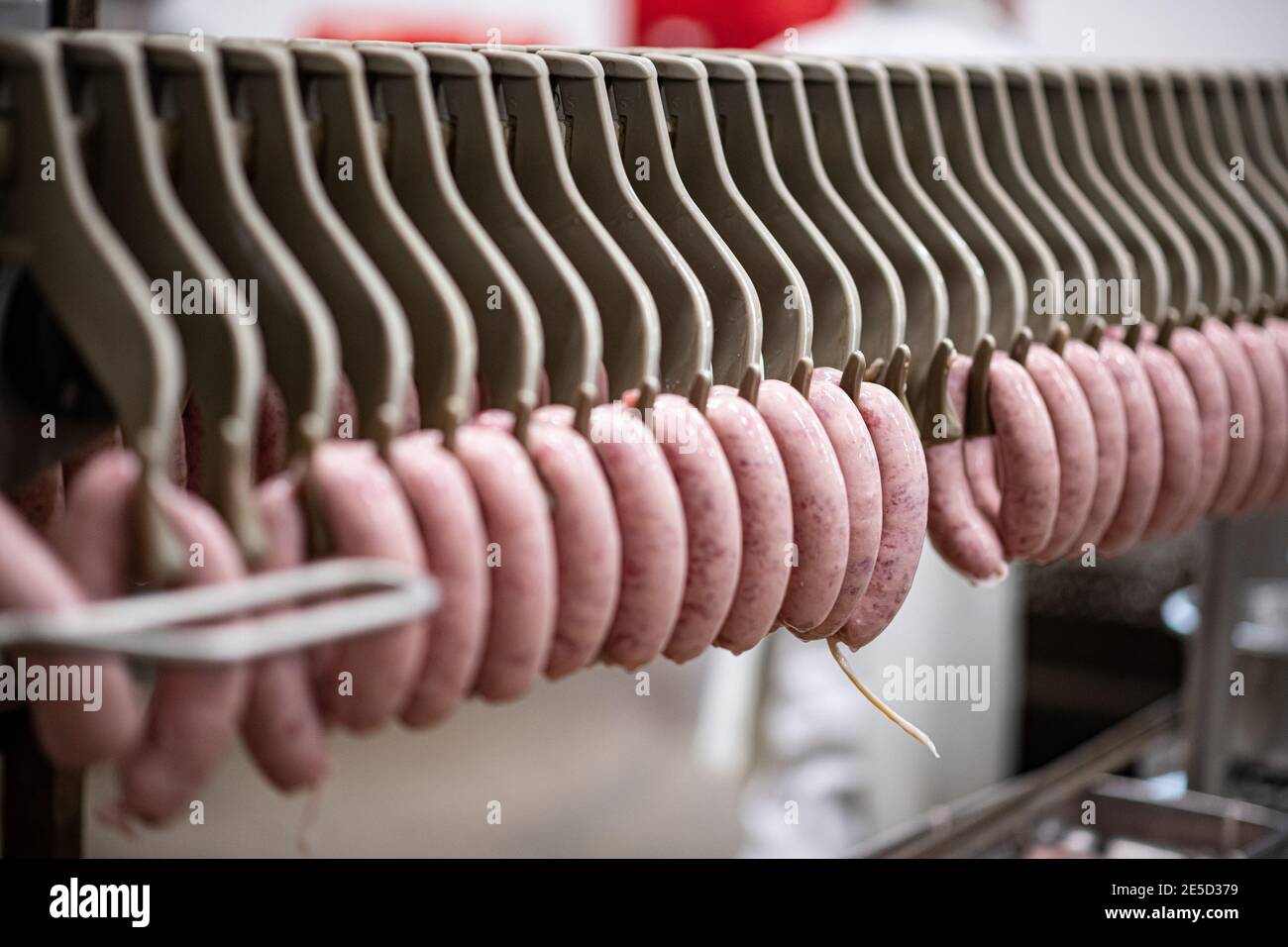 Meat factory pork hi-res stock photography and images - Alamy