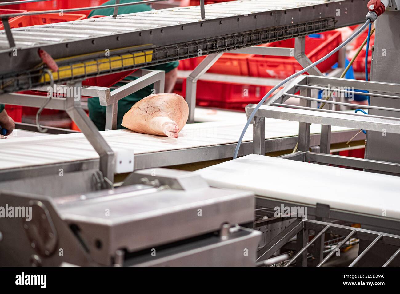 Production hall for cold cuts and meat products in a modern meat ...