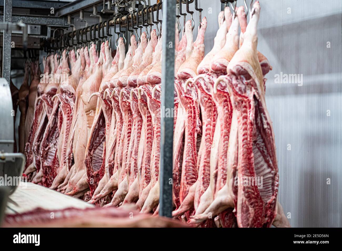 Meat hanging animal hi-res stock photography and images - Alamy