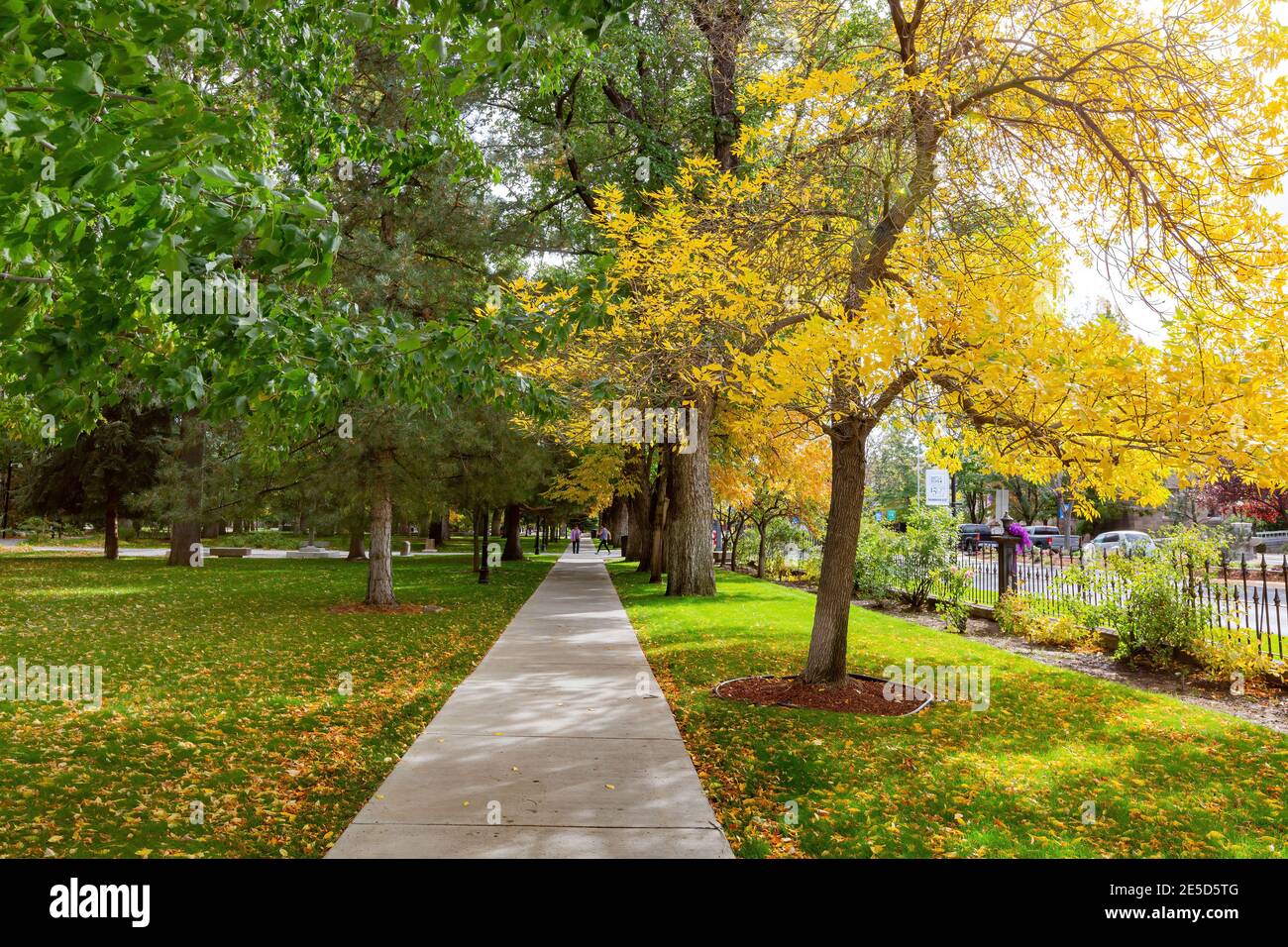 Park of the Nevada State Museum at Carson City, Nevada Stock Photo - Alamy