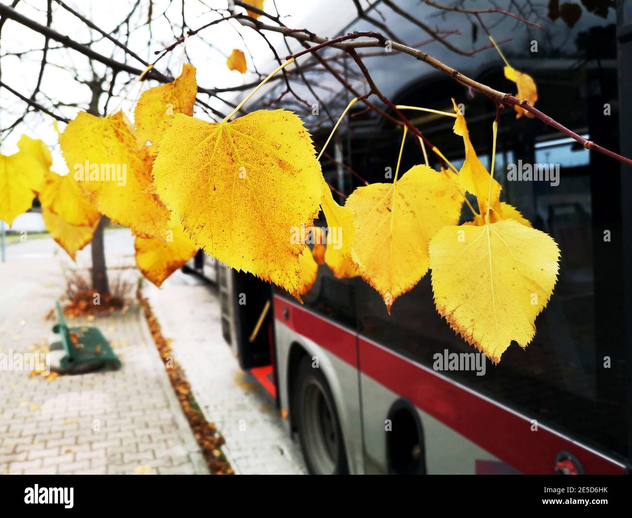 Bus stop public transport hi-res stock photography and images - Alamy