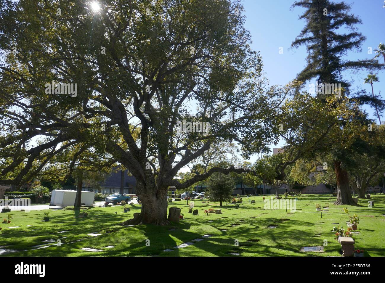 Los Angeles, California, USA 26th January 2021 A general view of ...