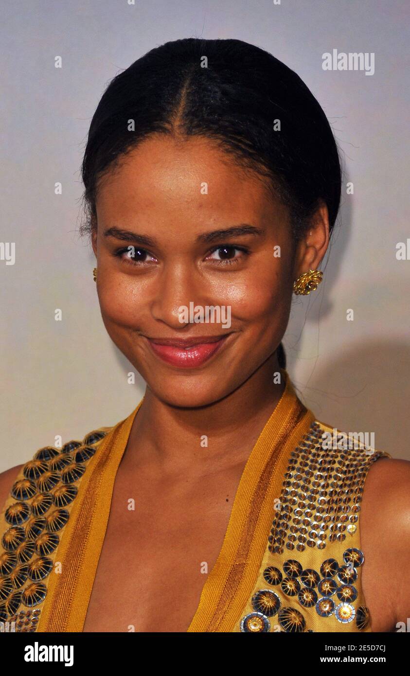 Actress Joy Bryant attends the Museum of Modern Art Film Benefit ...