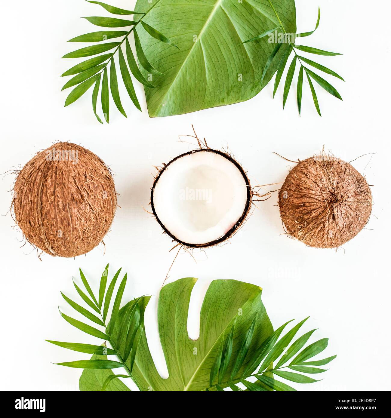 Pattern, frame borders with coconuts and tropical palm leaves on white ...