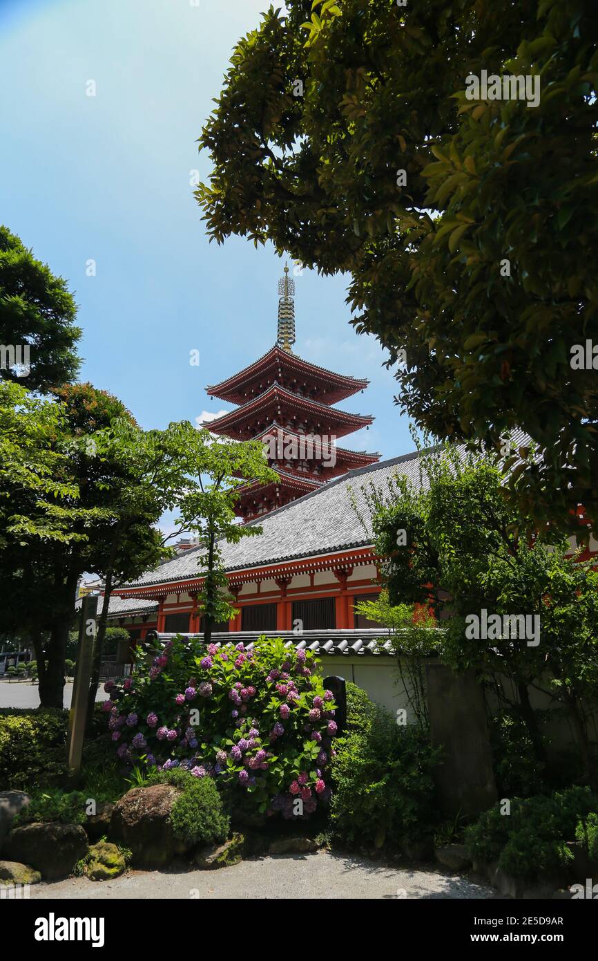 Tokyo temple hi-res stock photography and images - Alamy