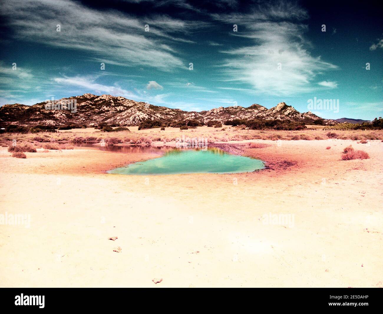 Pond at beach hi-res stock photography and images - Alamy