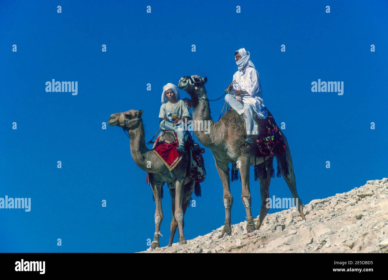 Camel riding israel hi-res stock photography and images - Alamy