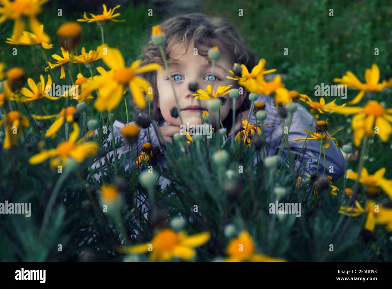 Girl hiding in flowers hi-res stock photography and images - Alamy