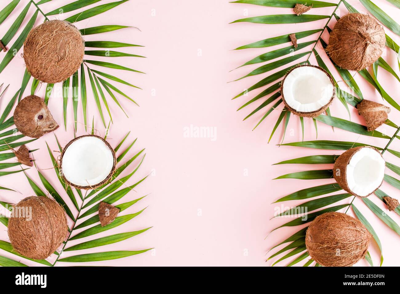 Pattern, frame borders with coconuts and tropical palm leaves on pink ...