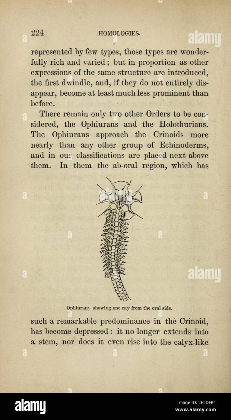 Study methods hi-res stock photography and images - Alamy