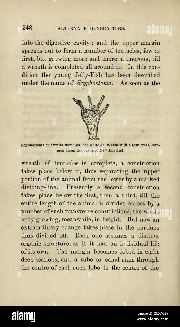 Methods of study in natural history (Page 248 Stock Photo - Alamy