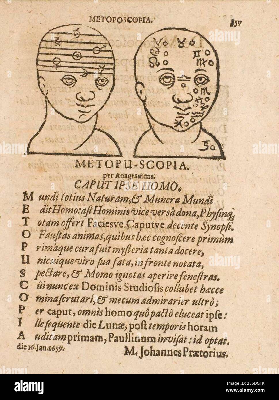 Scopia hi-res stock photography and images - Alamy