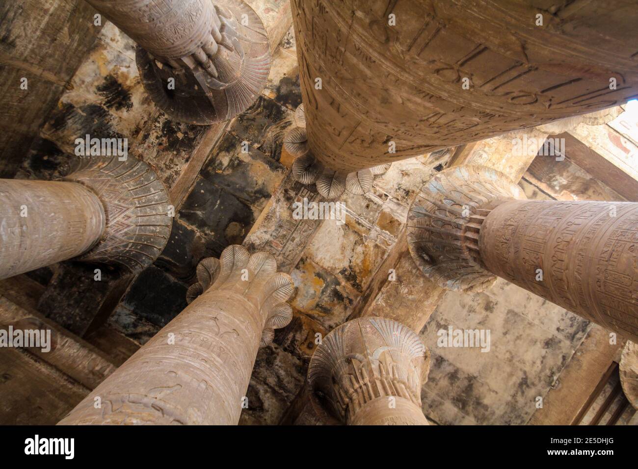 Magnificent columns steming the ceiling of the Horus temple, Edfu Stock ...