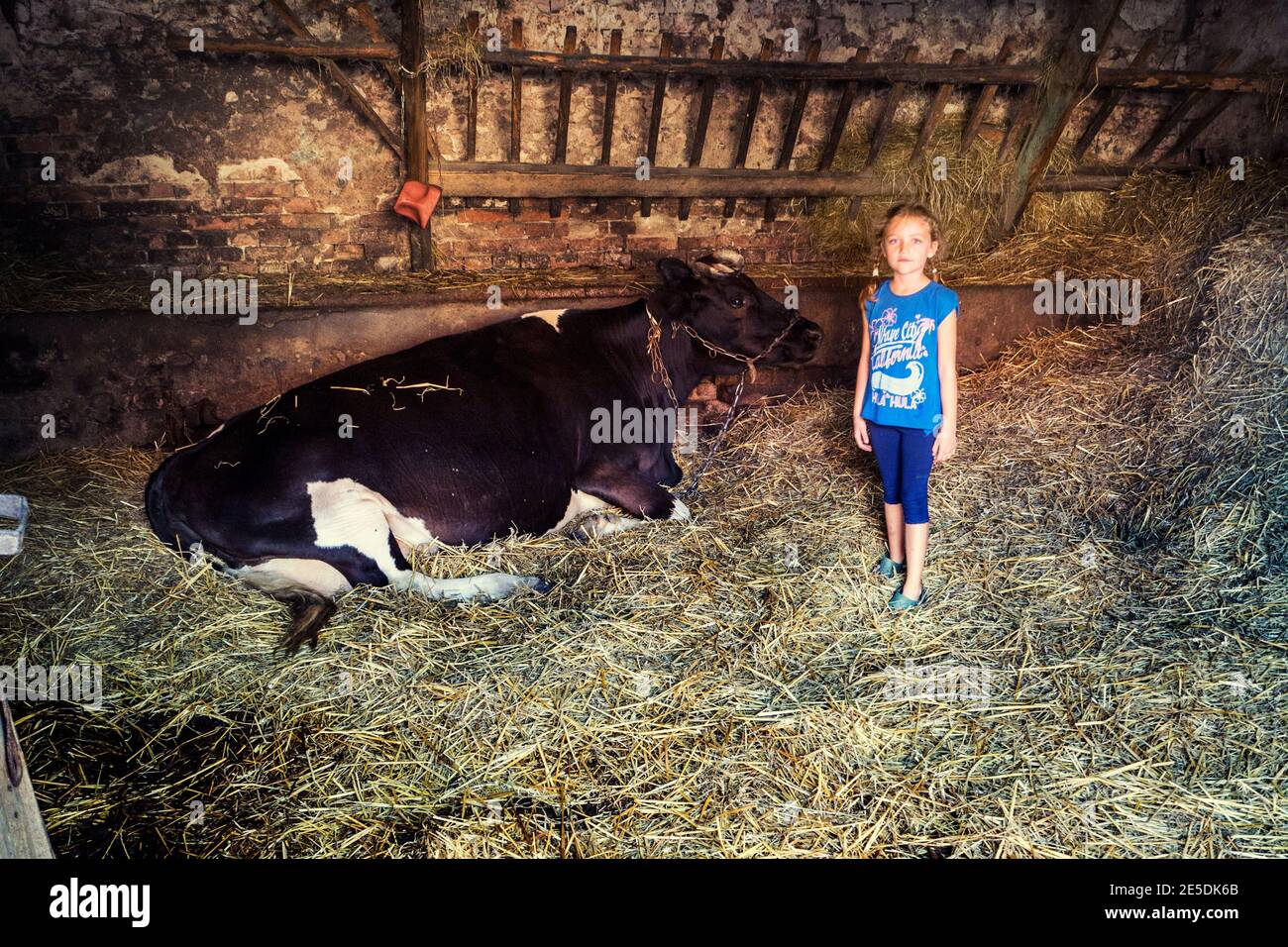 Stable girls hi-res stock photography and images - Alamy